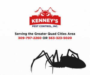 The 5 best Pest Control in Quad Cities ♥ Locals Love Us